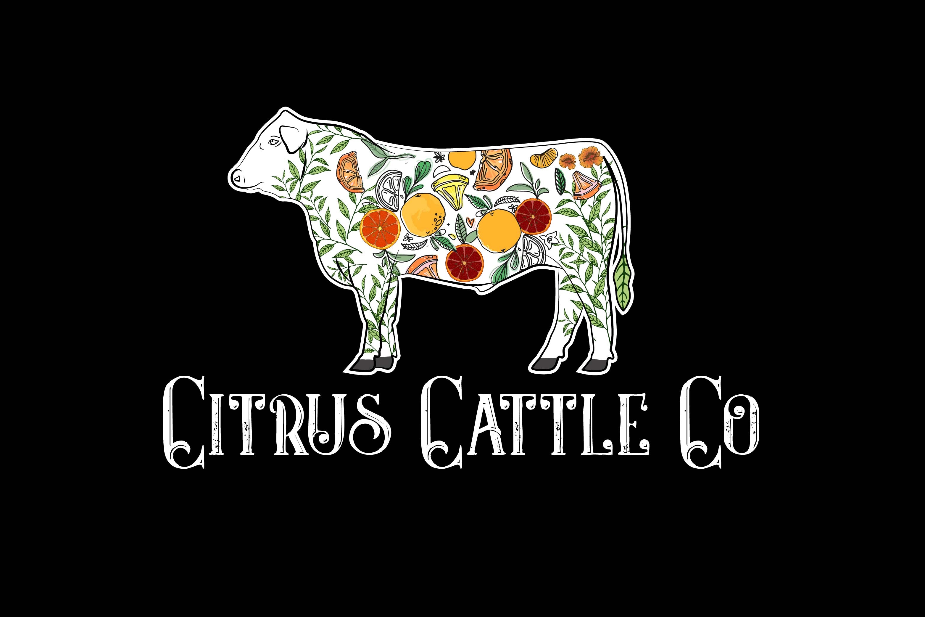 Citrus Cattle Newsletter and Giveaway – Citrus Cattle Company LLC